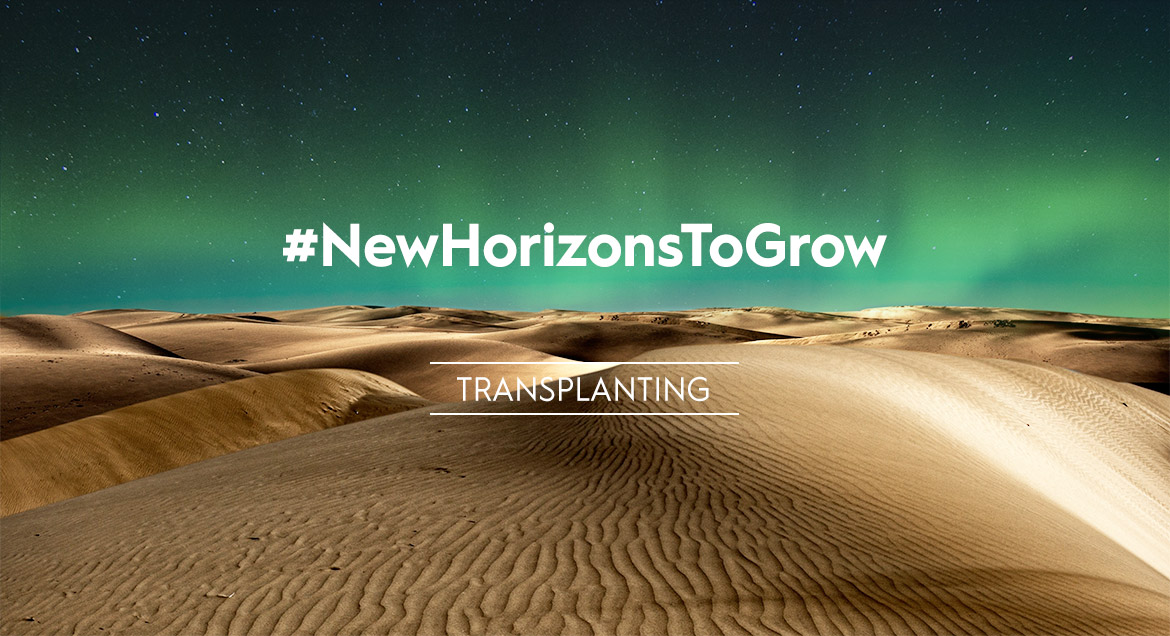 Hortech - Tecnologia per orticoltura - Horticulture Technology