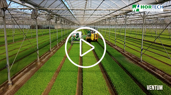 Hortech - Horticulture Technology - Tecnologia per orticultura
